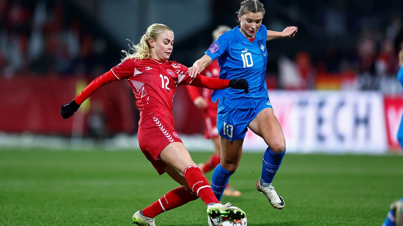 ForDanmark Danmark - Island